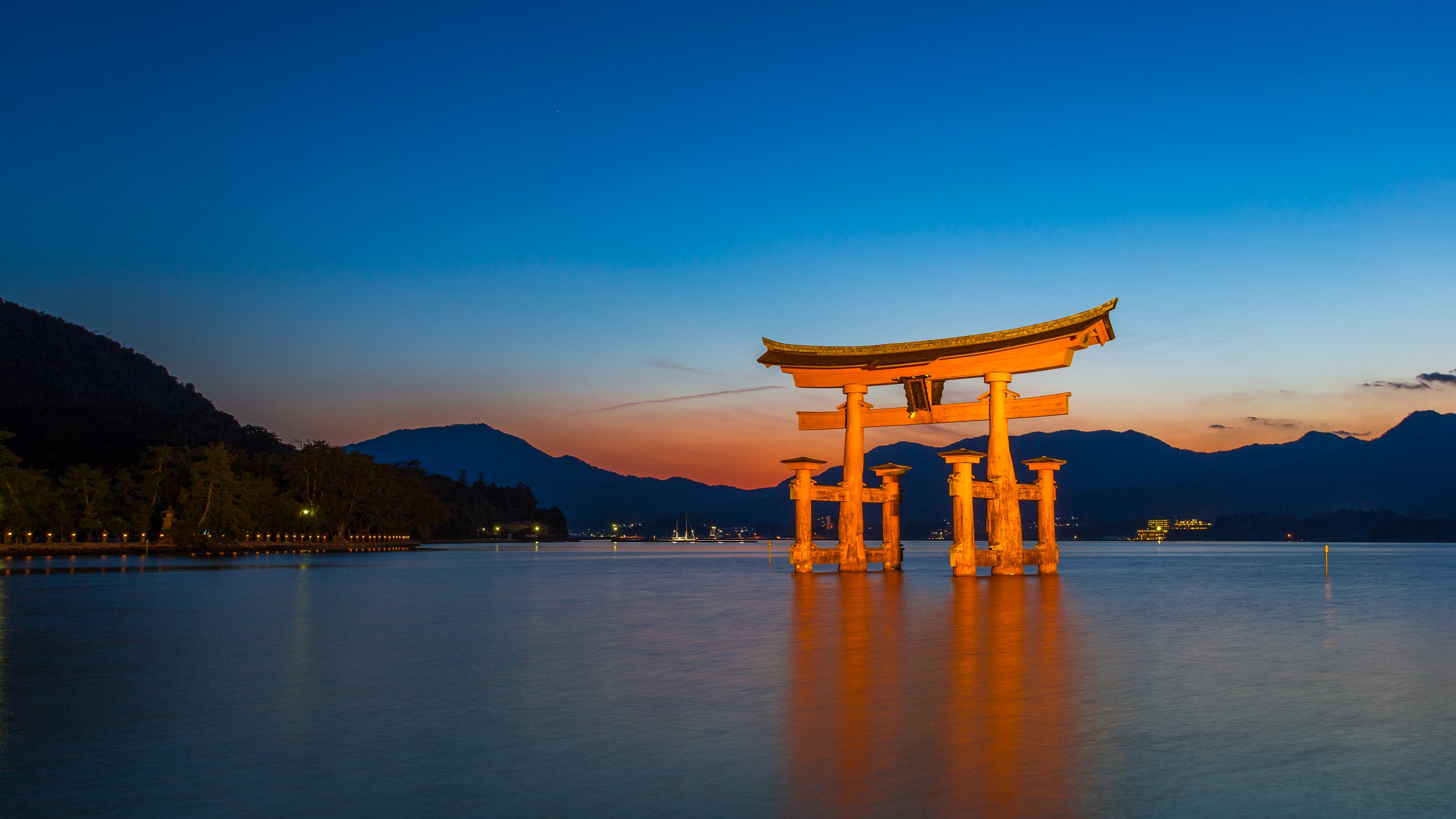 Christopher Tong's Portfolio