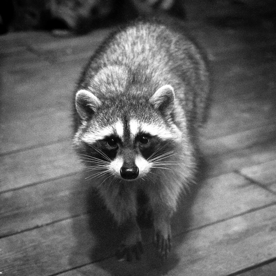 Christopher Tong's Portfolio